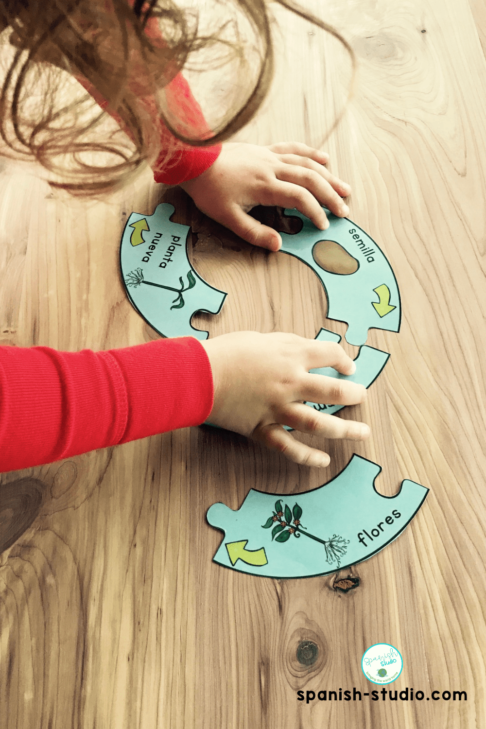 Comprehensible Input: How to speak Spanish Fluently! - Spanish Studio