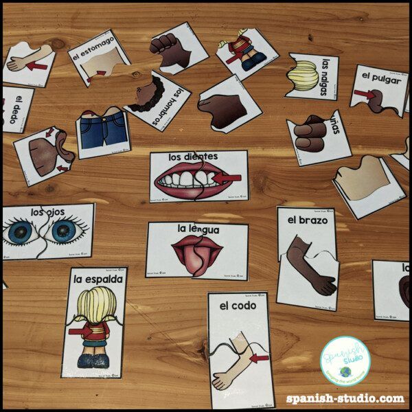 The Parts of the Body in Spanish -Thematic Unit - Spanish Studio
