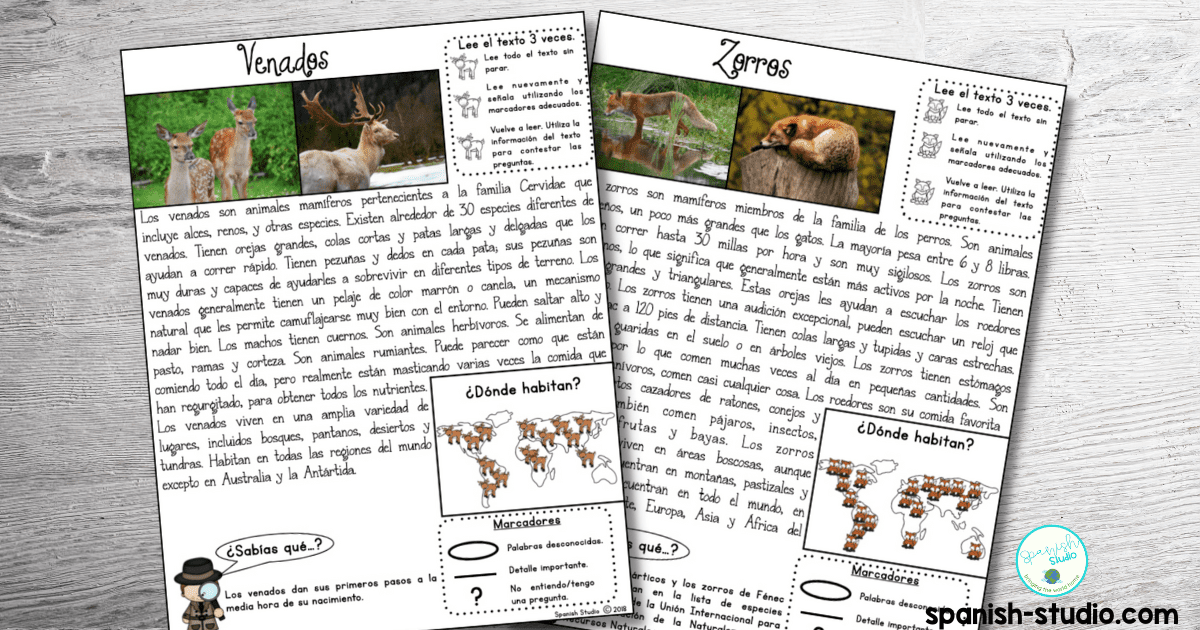 5 Spanish Reading Passages to Enhance Language Skills!