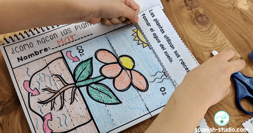 Life Cycle Learning: Hands-On Spanish Adventures - Spanish Studio