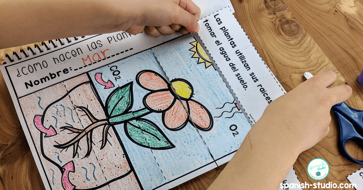 Life Cycle Learning: Hands-On Spanish Adventures